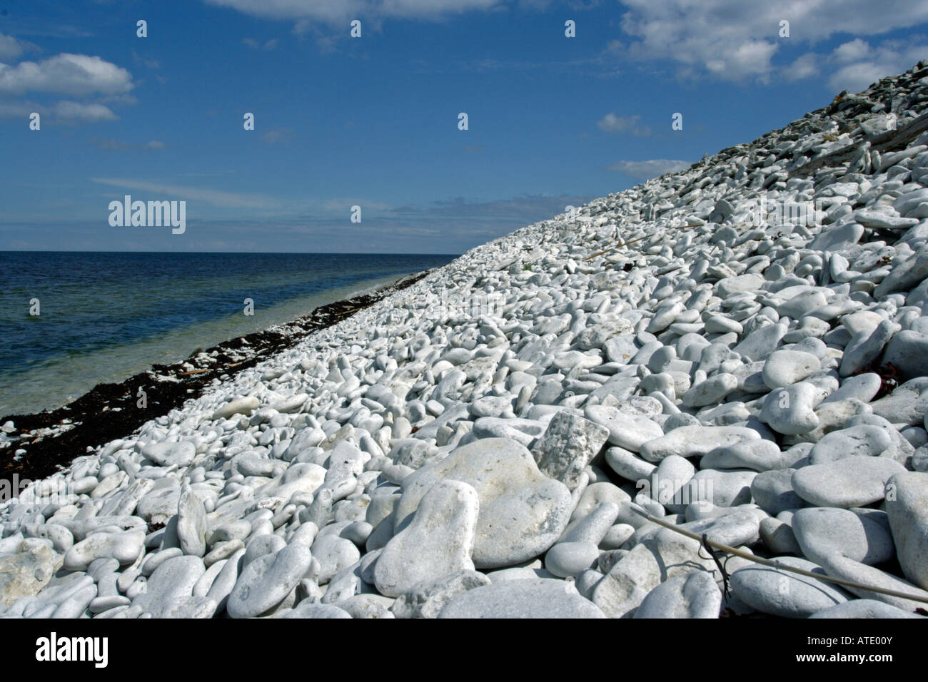 Beach shingle management hi-res stock photography and images - Alamy