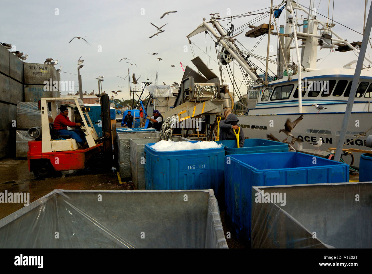 Sardine fishing boats Monterey California Stock Photo - Alamy