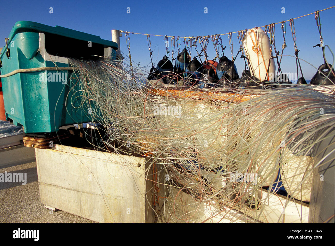 Longline fishing for sharks Pacific Ocean Stock Photo - Alamy