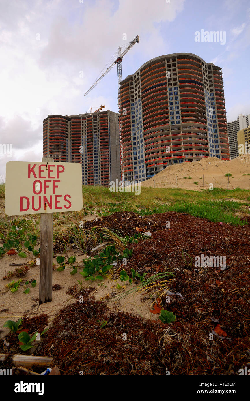 Coastal development destroys sand dunes that sea turtles rely upon for ...