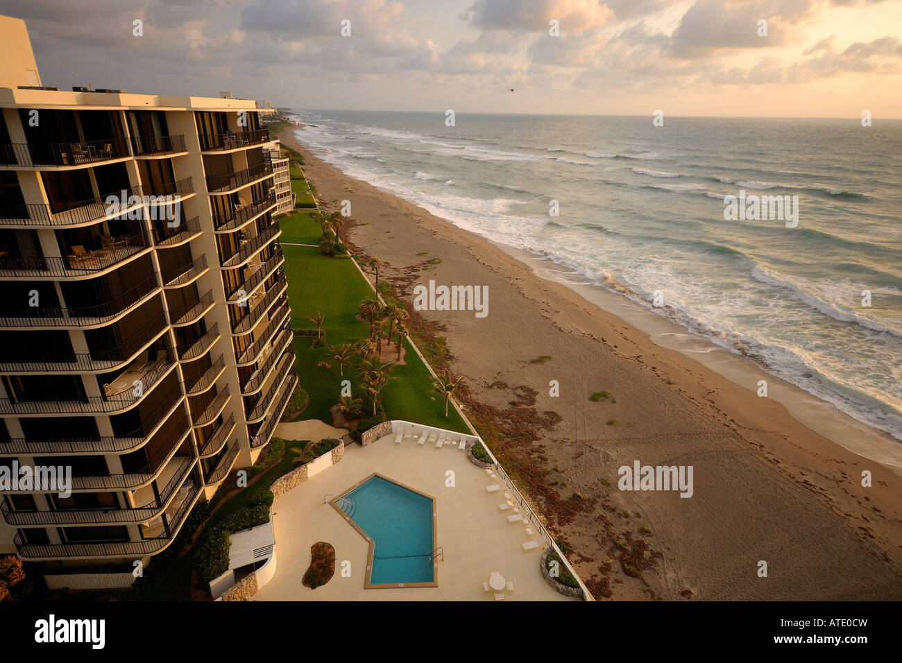 Coastal development destroys sand dunes that sea turtles rely upon for ...