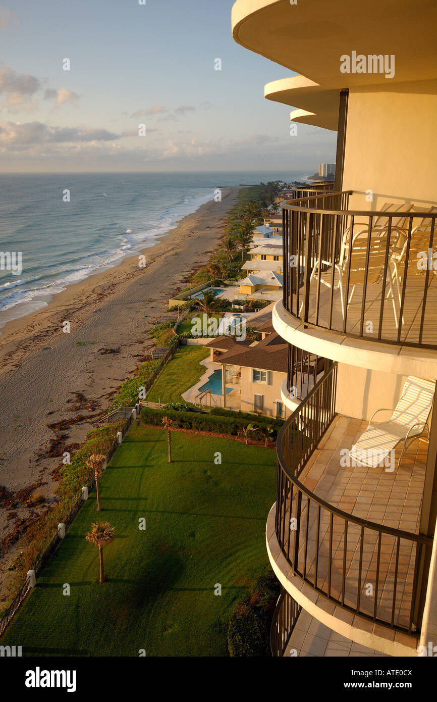 Coastal development destroys sand dunes that sea turtles rely upon for ...