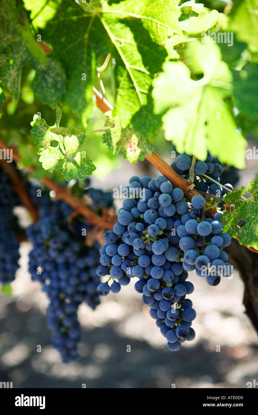 Rutherford hi-res stock photography and images - Alamy