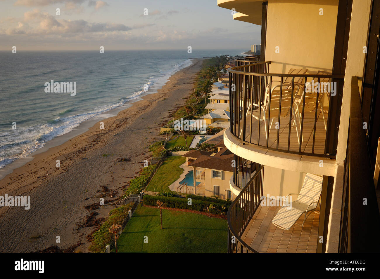 Coastal development destroys sand dunes that sea turtles rely upon for ...