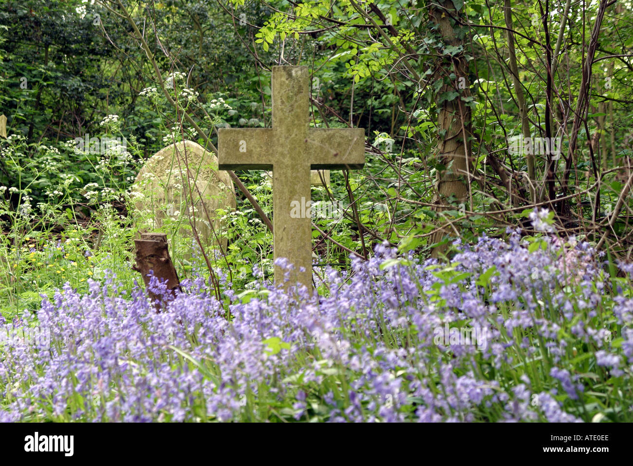 Nunhead cemetery in South London Stock Photo - Alamy