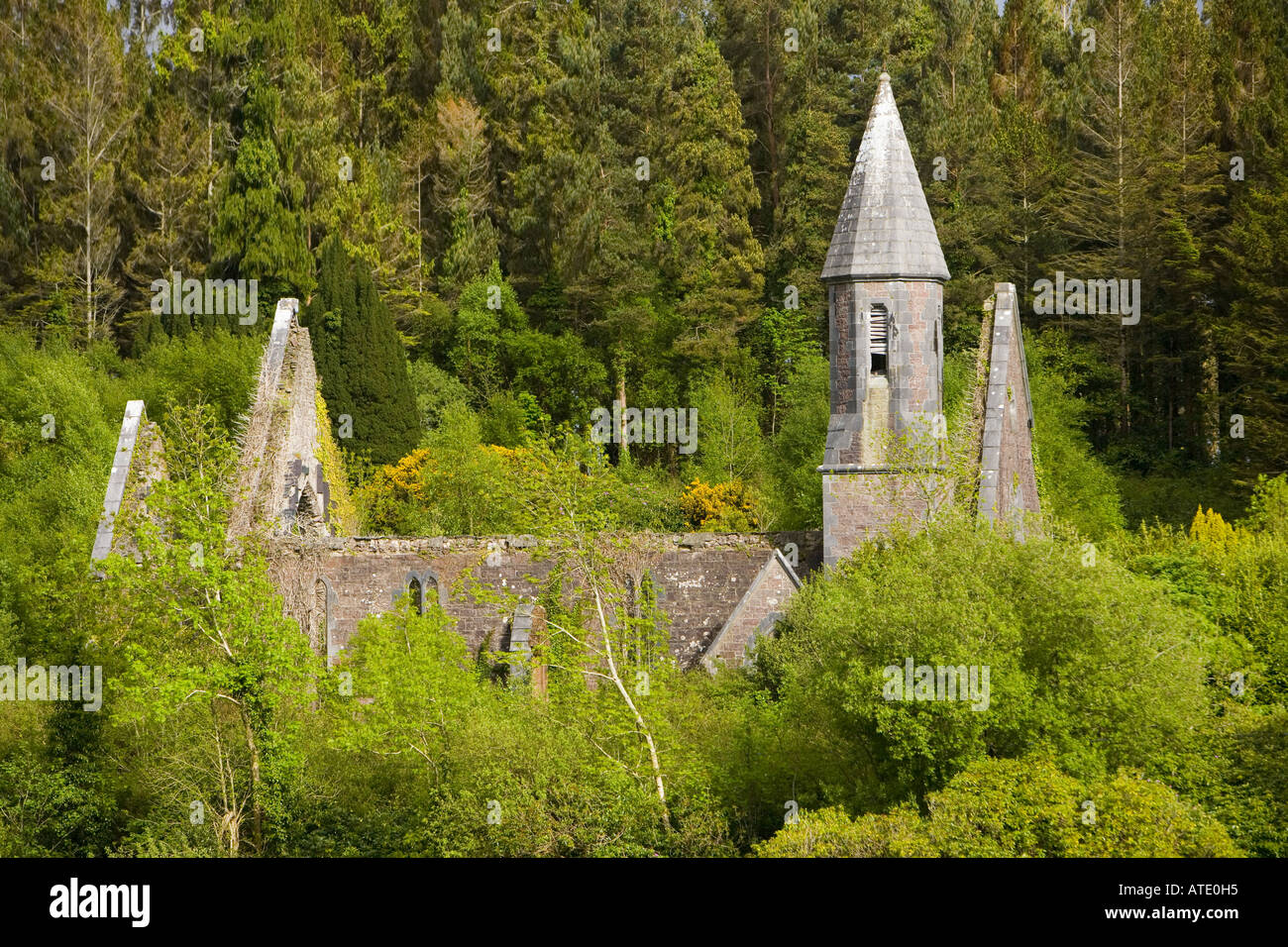 Church of Ireland in ruins, County Mayo, Ireland Stock Photo - Alamy