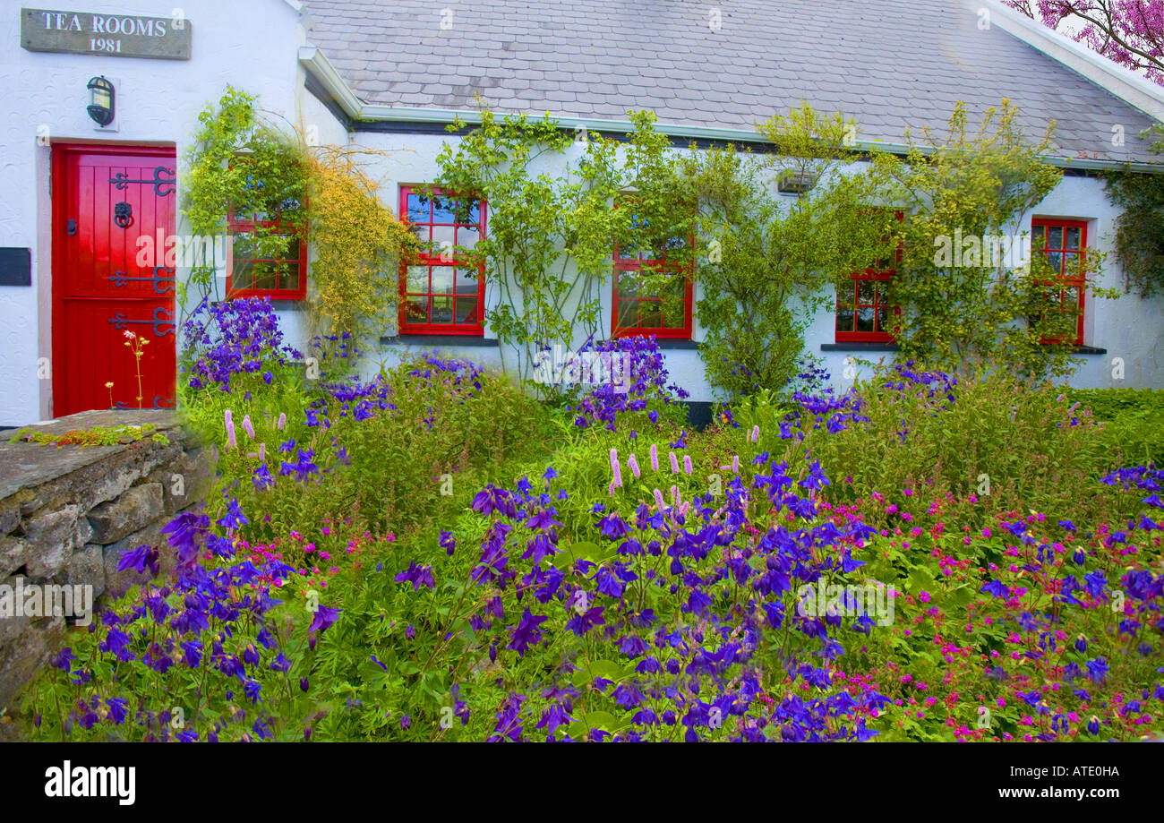 Irish tea house hi-res stock photography and images - Alamy
