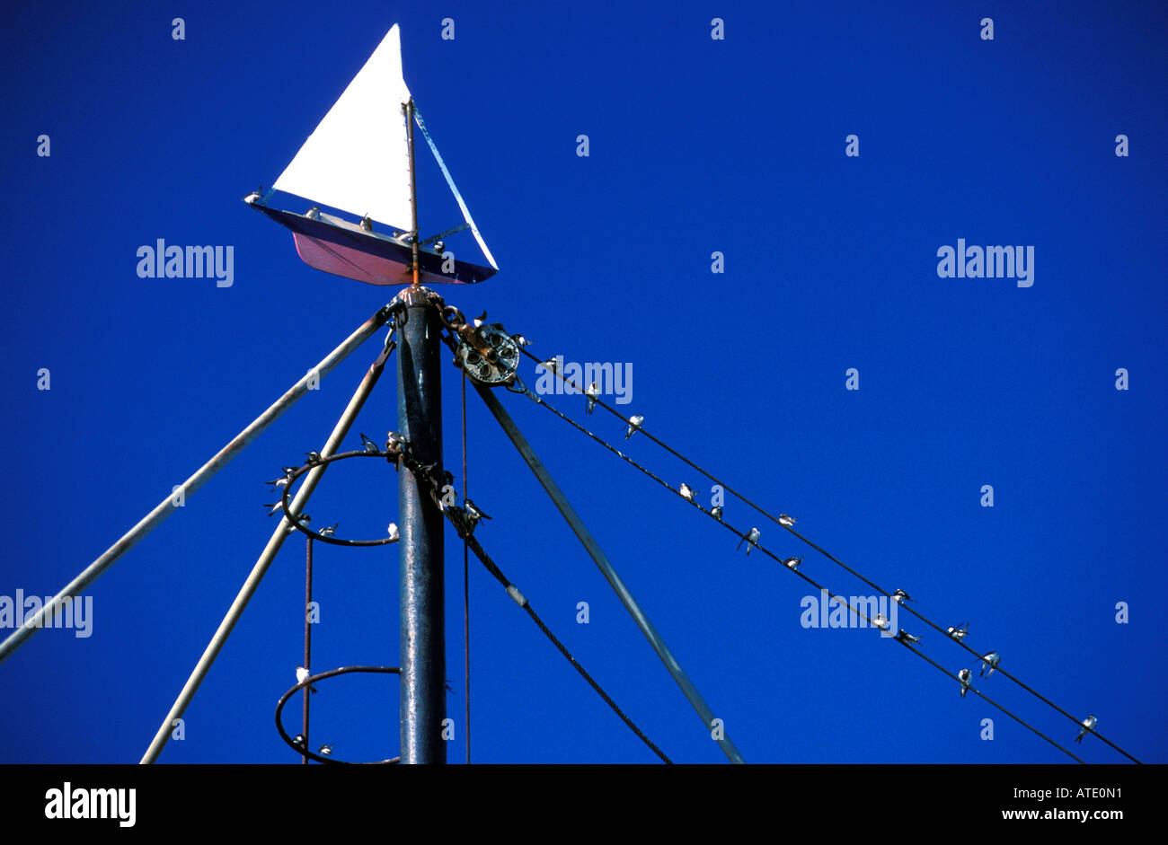 A yacht-shaped wind-vane with white sail against a deep blue sky ...