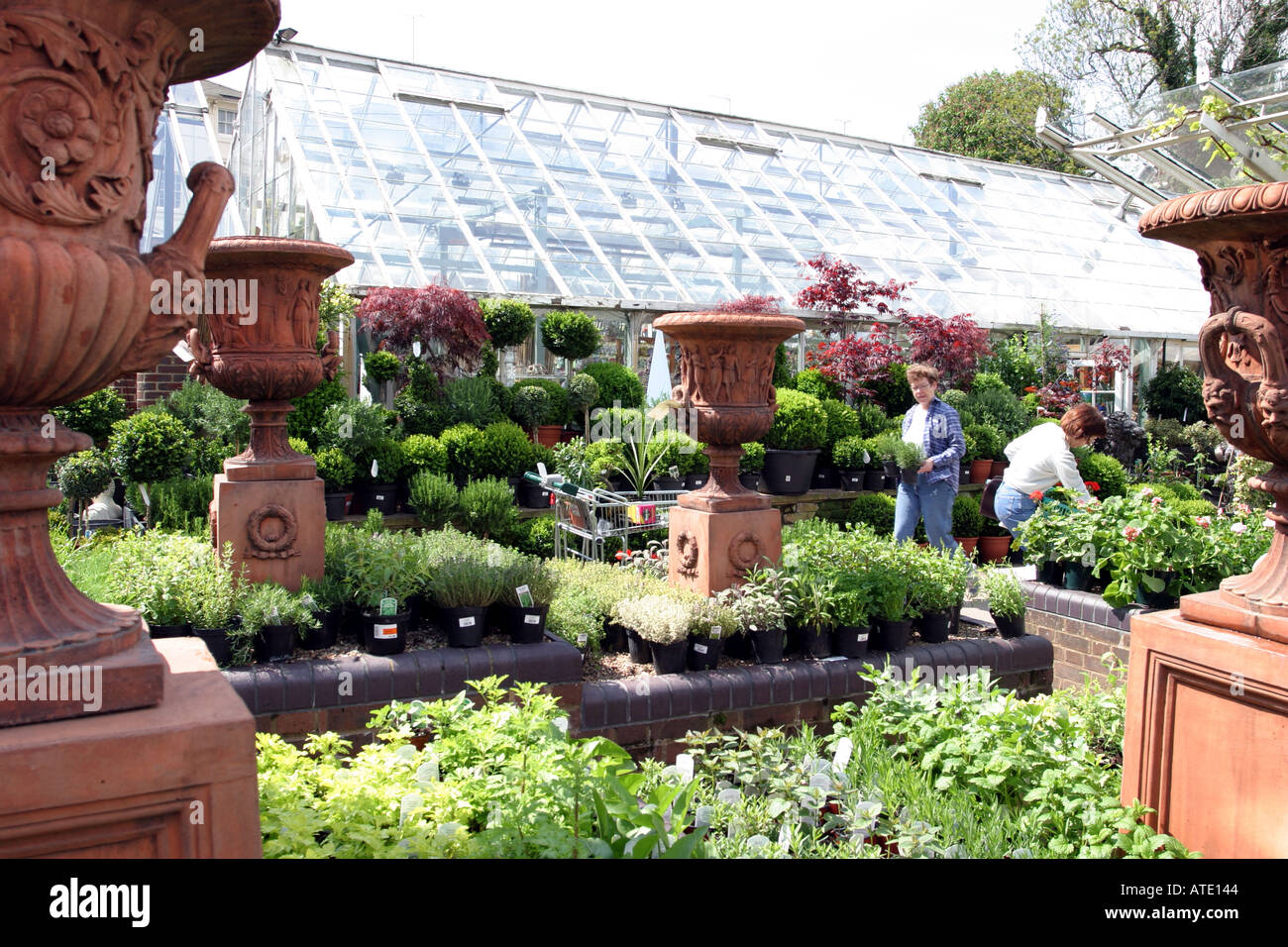 Clifton nurseries hi-res stock photography and images - Alamy