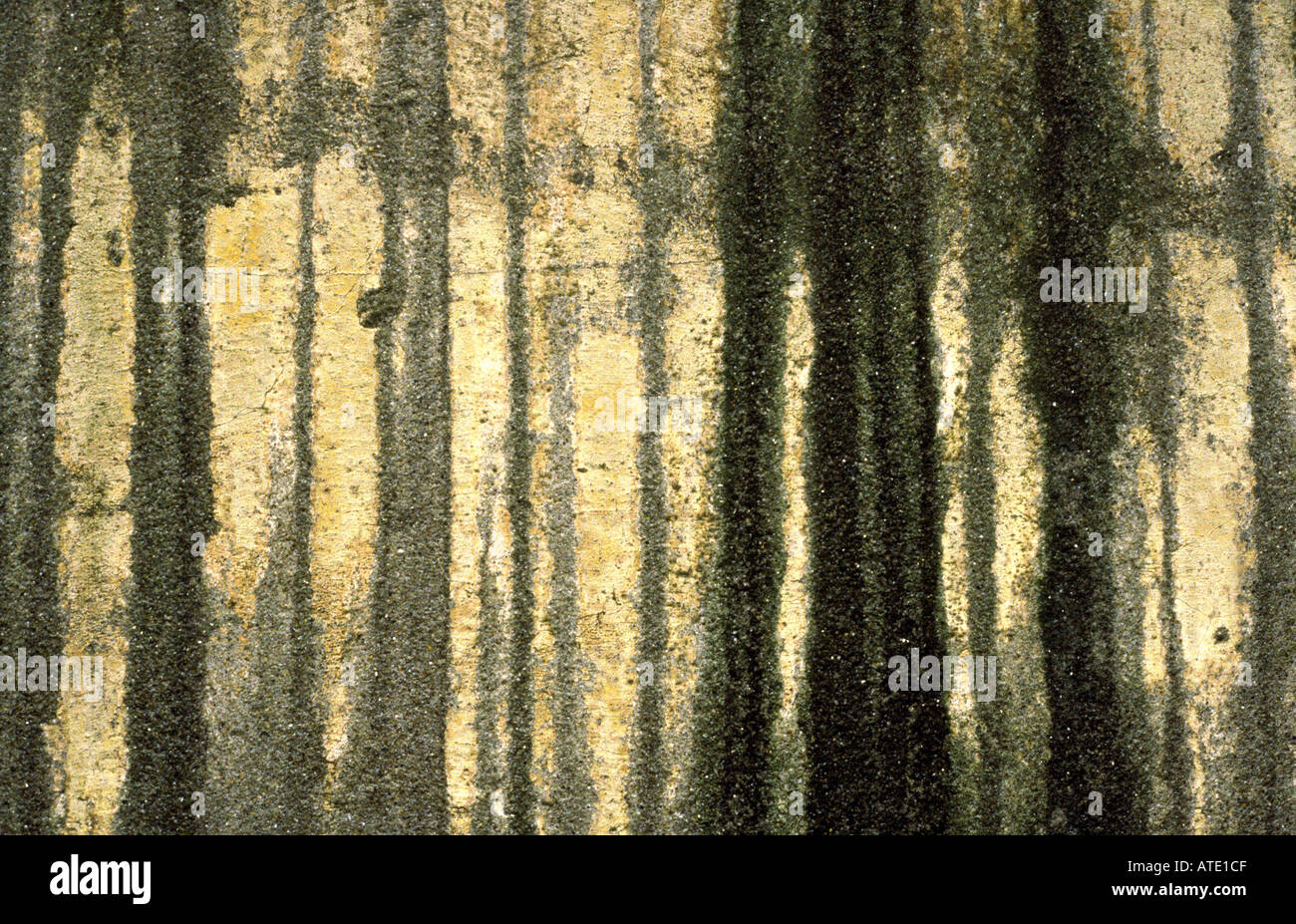 Drip marks hi-res stock photography and images - Alamy