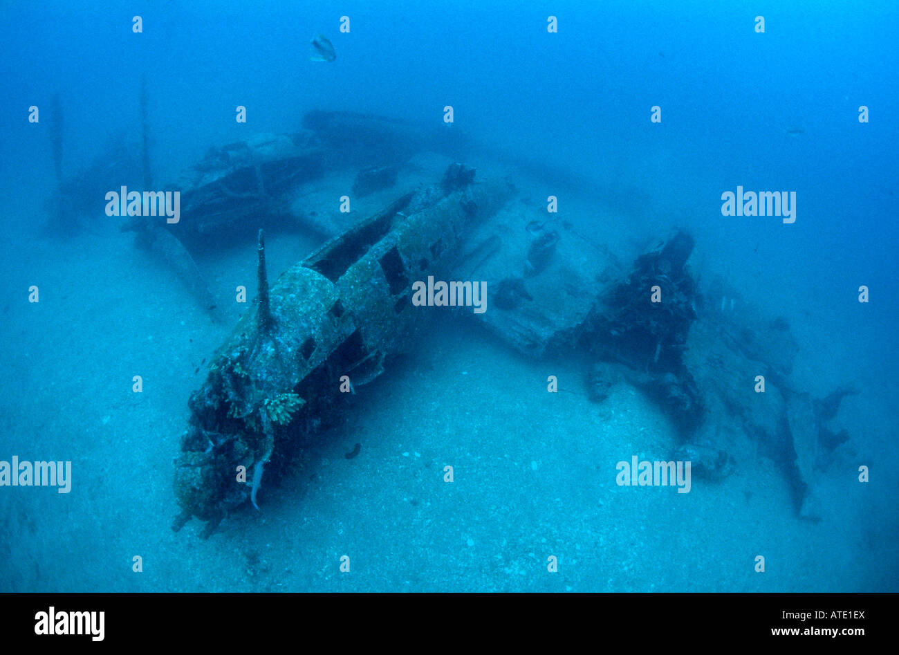 P 38 crash hi-res stock photography and images - Alamy