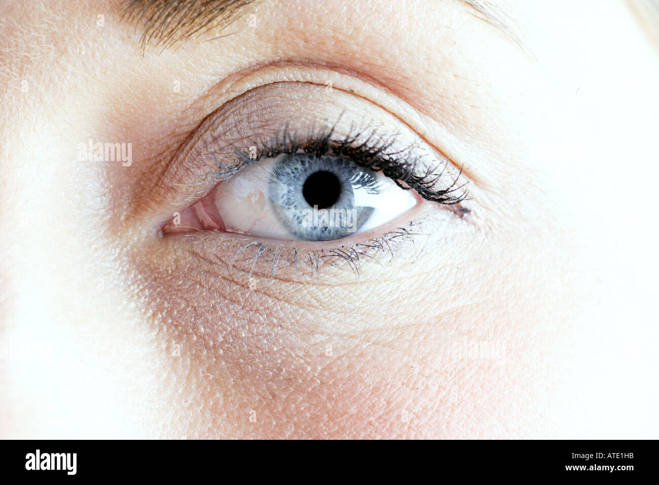 close up of a female eye showing the iris pupil and eyelashes Stock ...