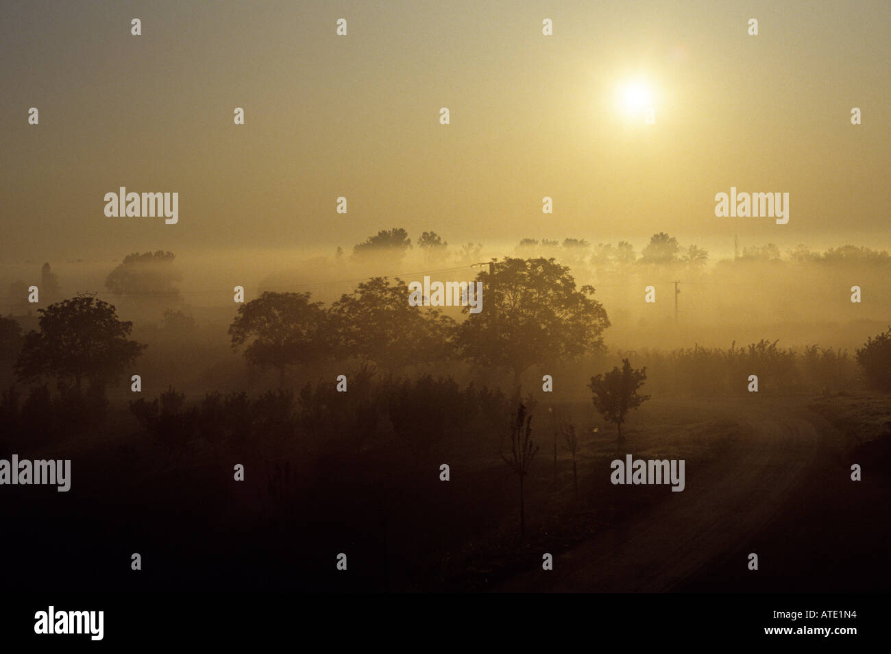Mist moody hi-res stock photography and images - Alamy