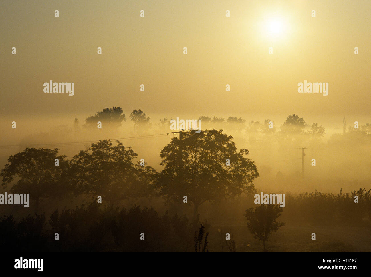 Mist moody hi-res stock photography and images - Alamy
