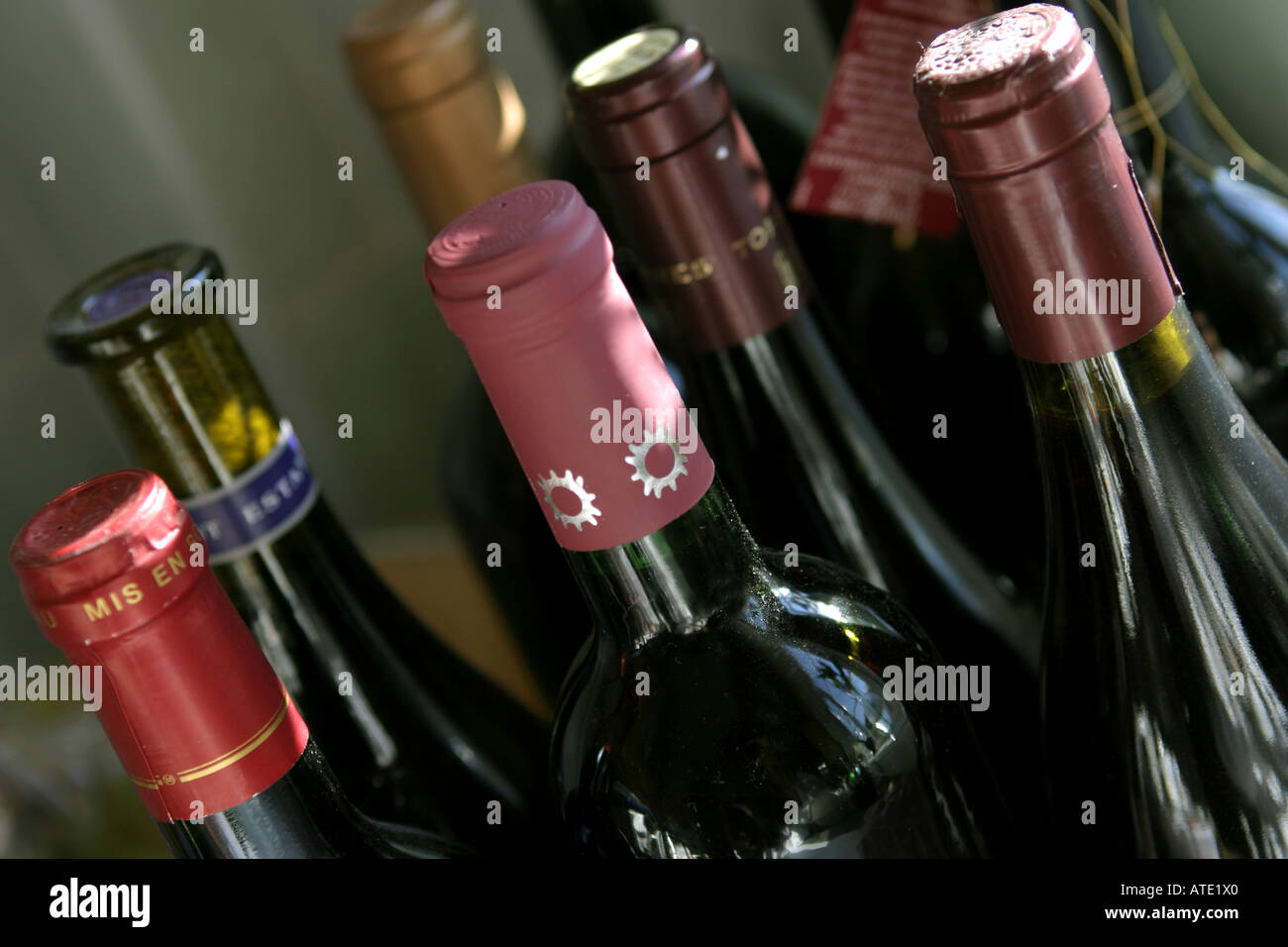 Red wine bottles unopened with various coloured foil tops picture ...