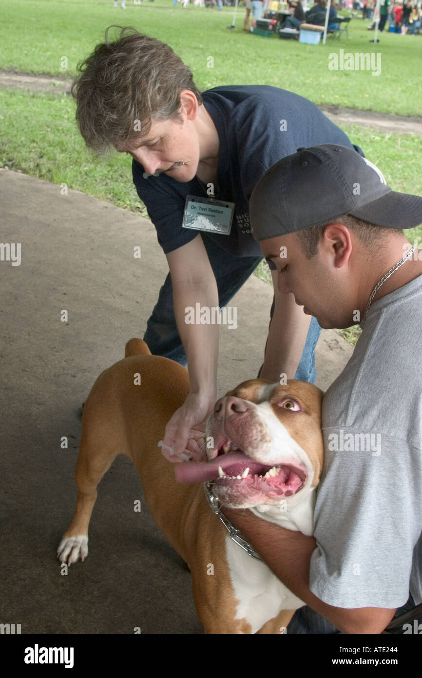 Humane society volunteer hi-res stock photography and images - Alamy