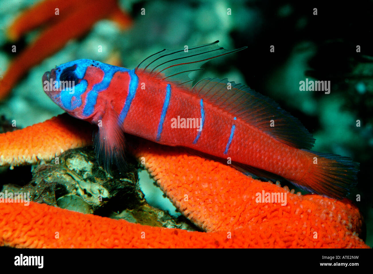 Very small holes hi-res stock photography and images - Alamy