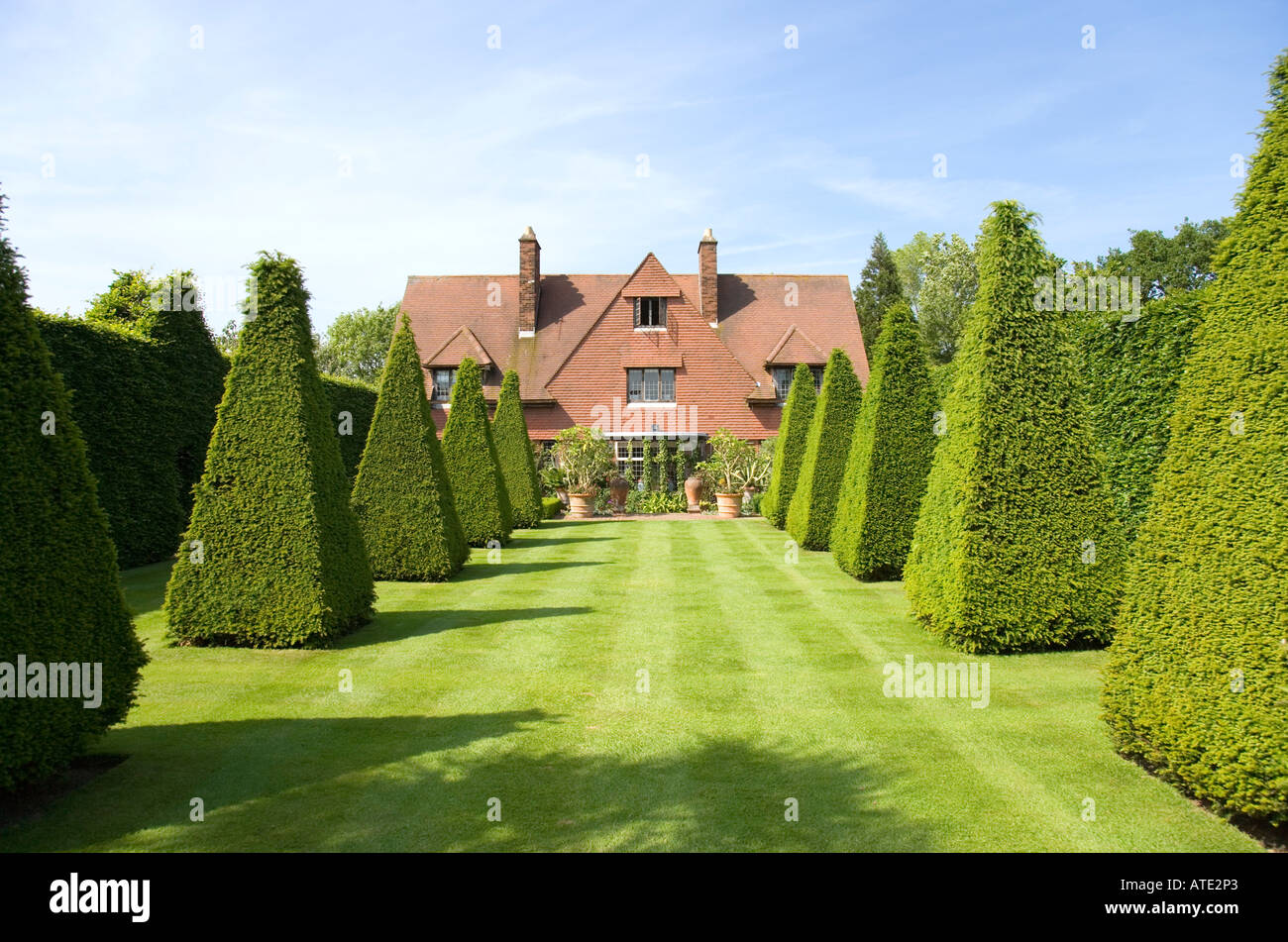 Clipped Topiary Yew Trees in Garden of "Arts and Crafts" Country House ...