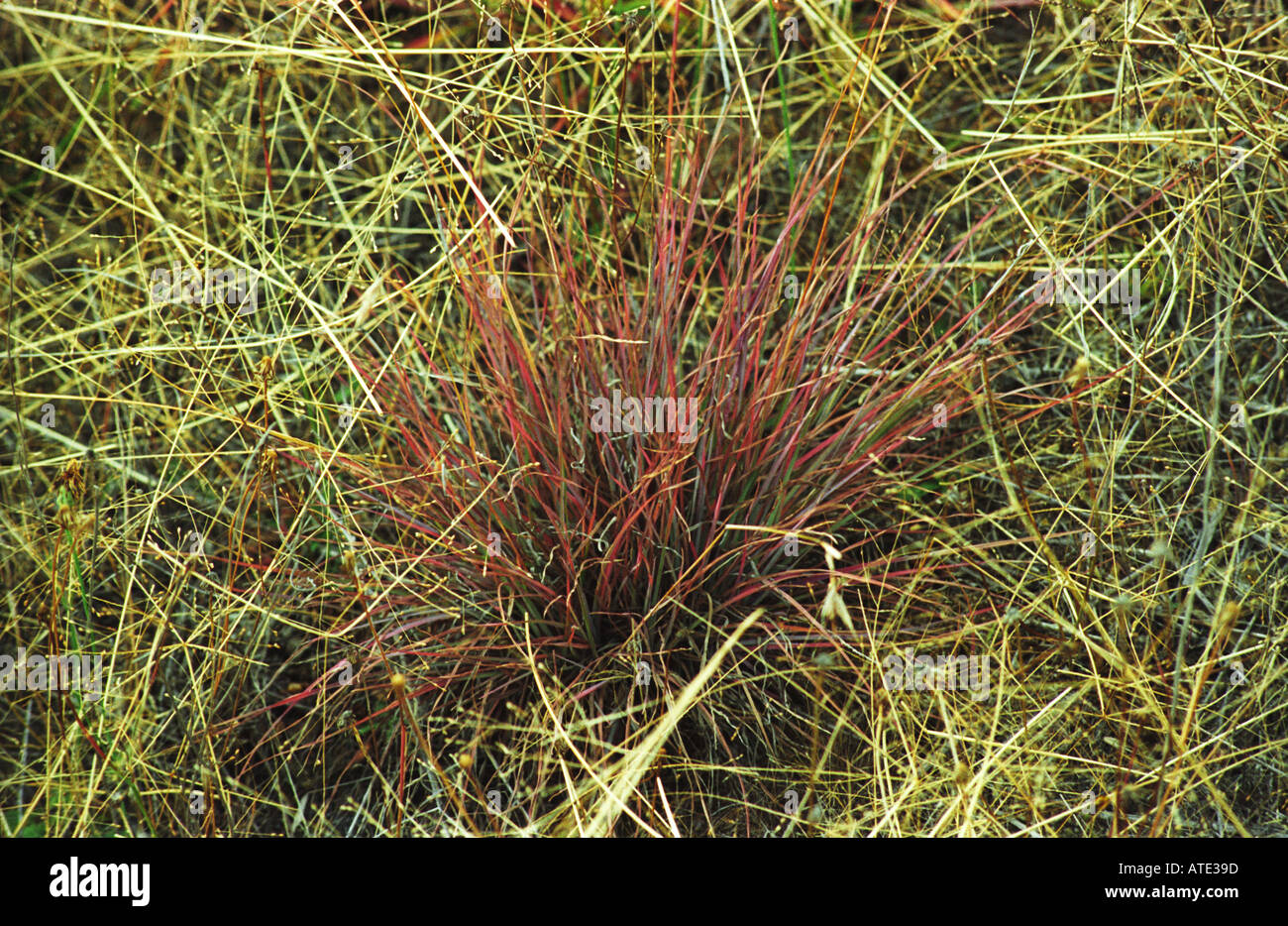 Canberra bank hi-res stock photography and images - Alamy