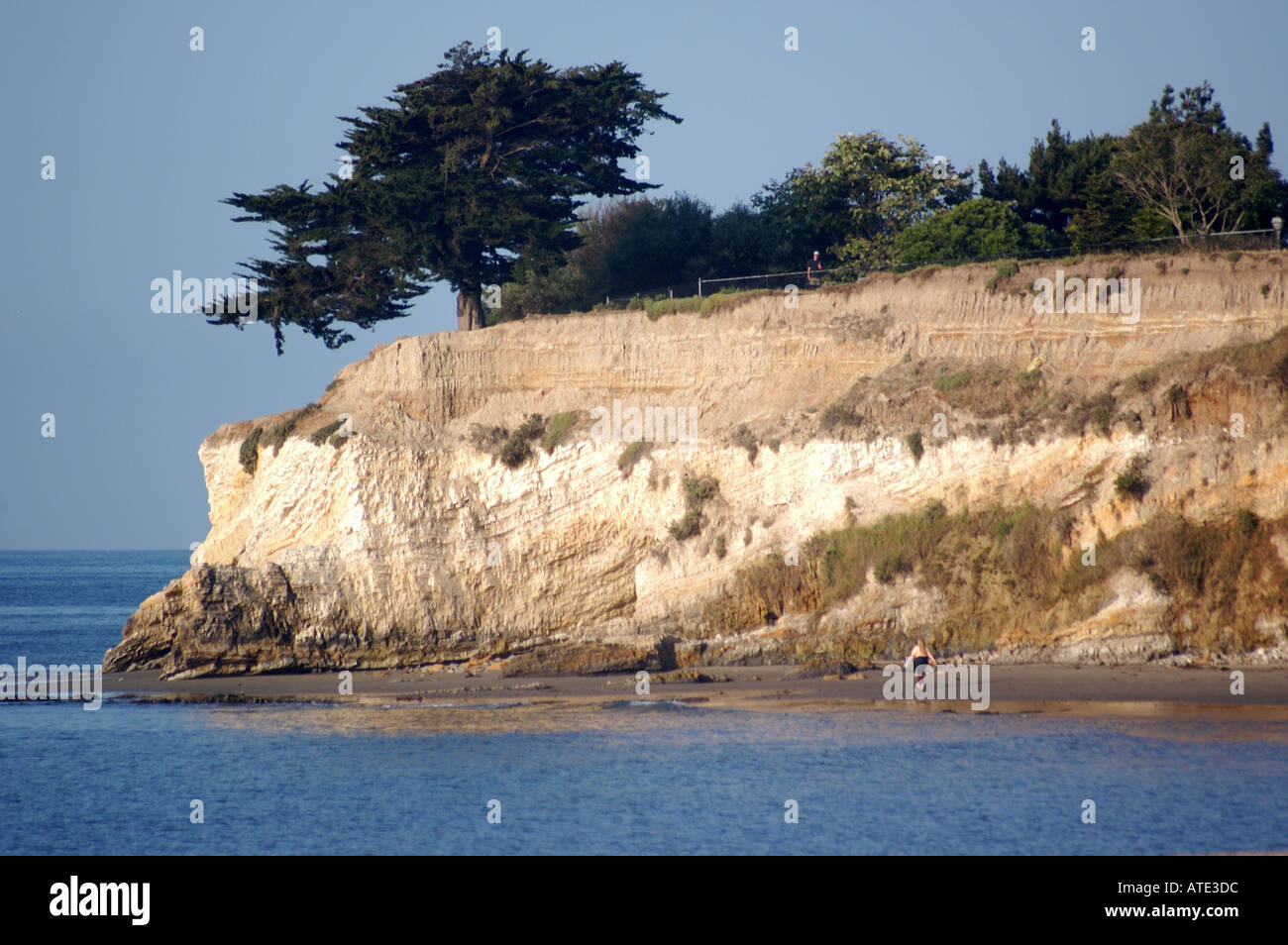 Leadbetter point hi-res stock photography and images - Alamy