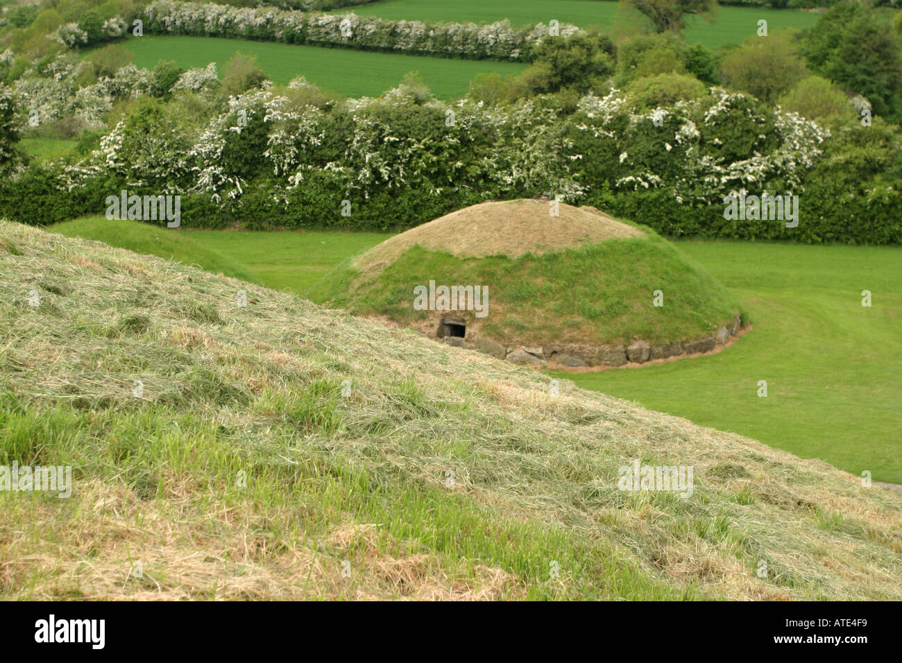 Satellite tombs around the great mound at Knowth in Ireland Stock Photo ...