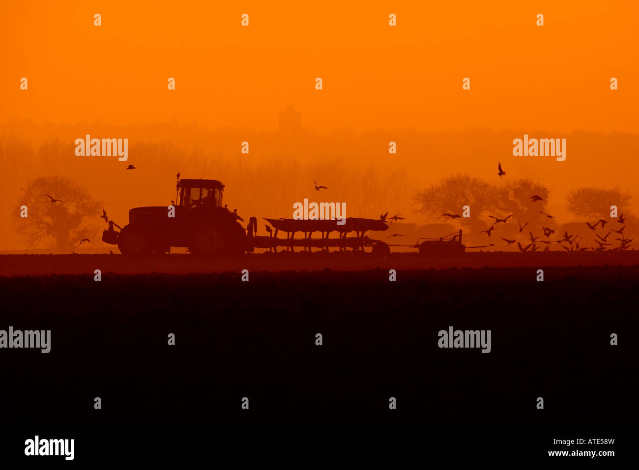 Spring Ploughing in Norfolk on a February Evening Stock Photo - Alamy