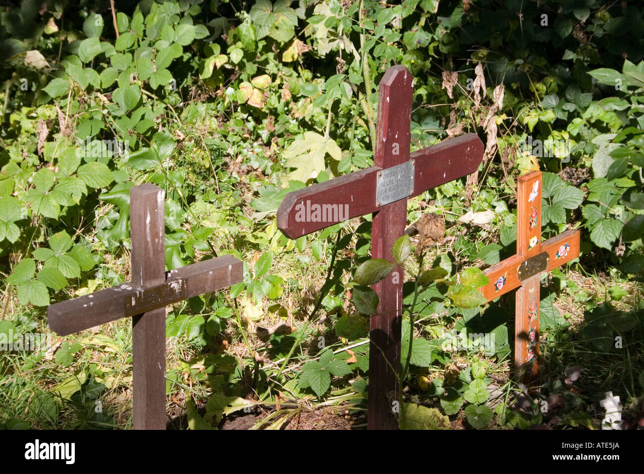 Simple wooden crosses mark the graves of three children Cathays ...