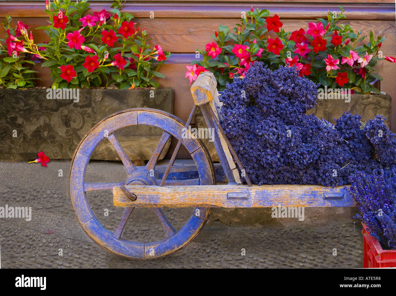 Sault provence field color colour hi-res stock photography and images ...