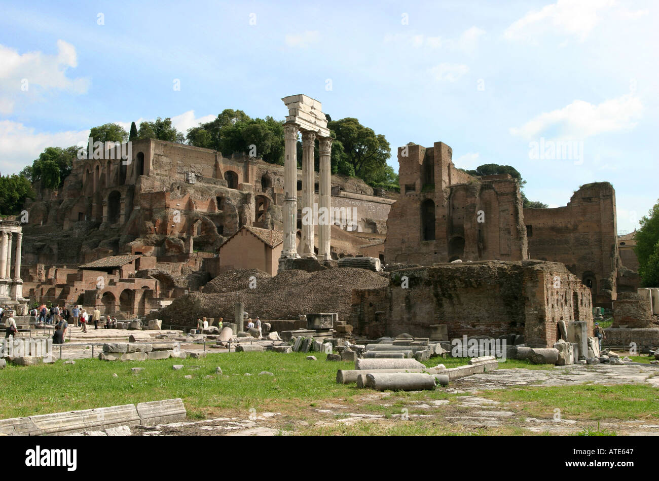 The remaining columns of the Temple of Castori in the Roman Forum in ...