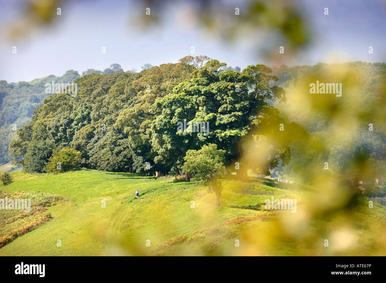 Downham hill from uley bury hi-res stock photography and images - Alamy