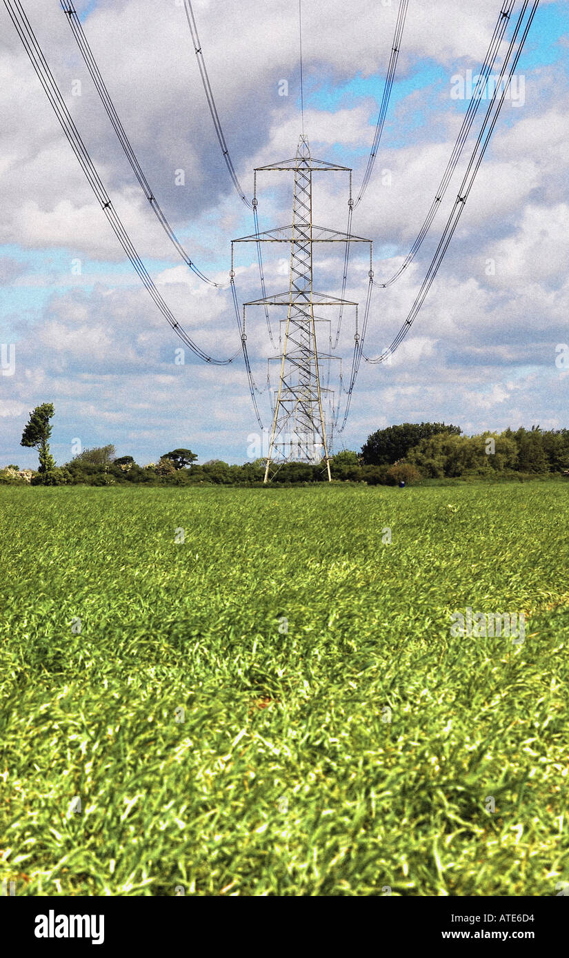 field with pylon in the backbround Stock Photo - Alamy