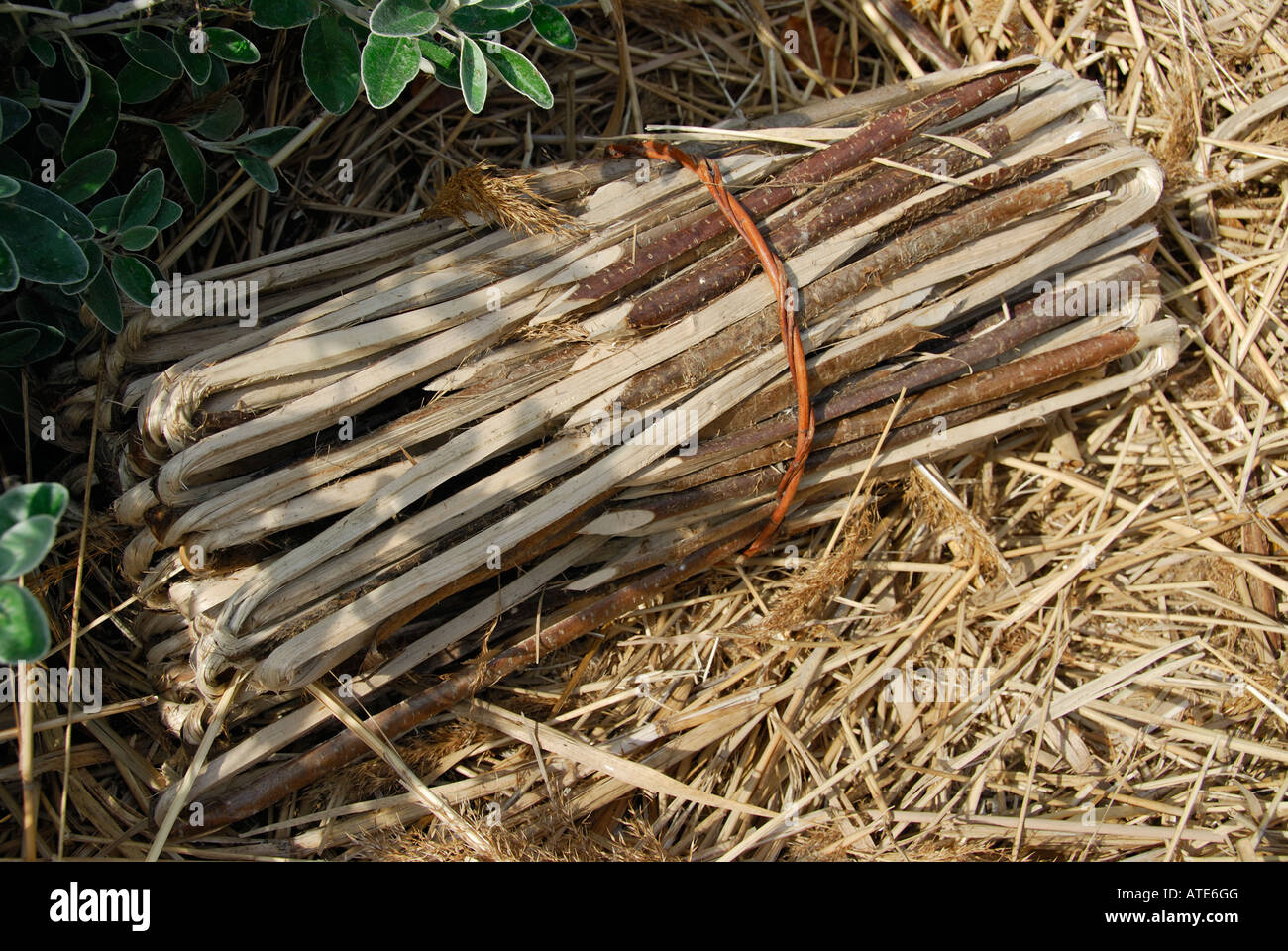 Roof Spars Stock Photos & Roof Spars Stock Images - Alamy