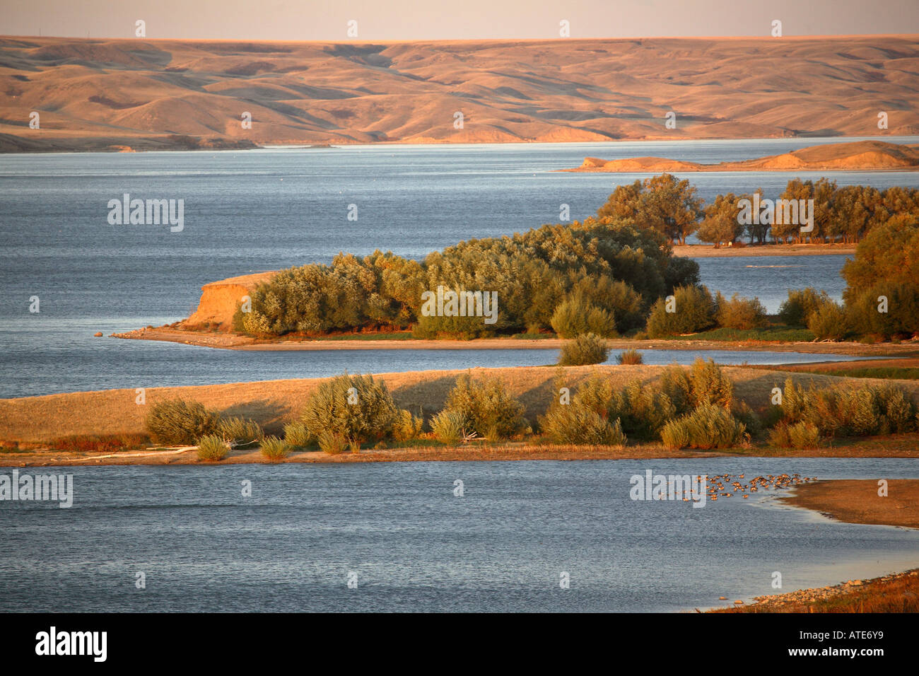 Small inlets on Lake Diefenbaker in scenic Saskatchewan Canada Stock ...
