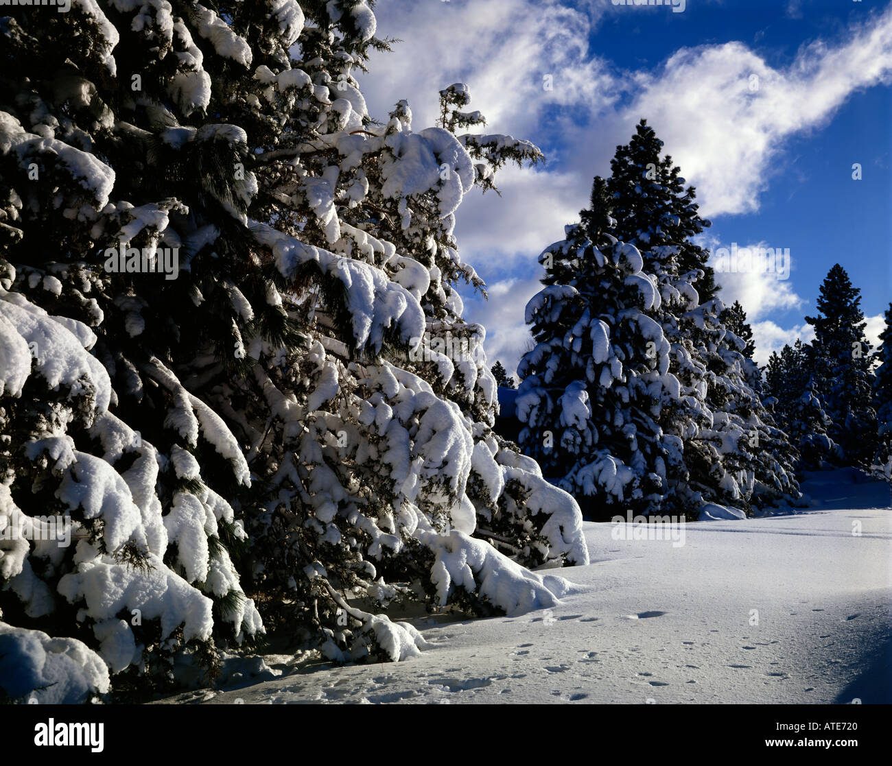 Brilliant blue sky snow white clouds hi-res stock photography and ...