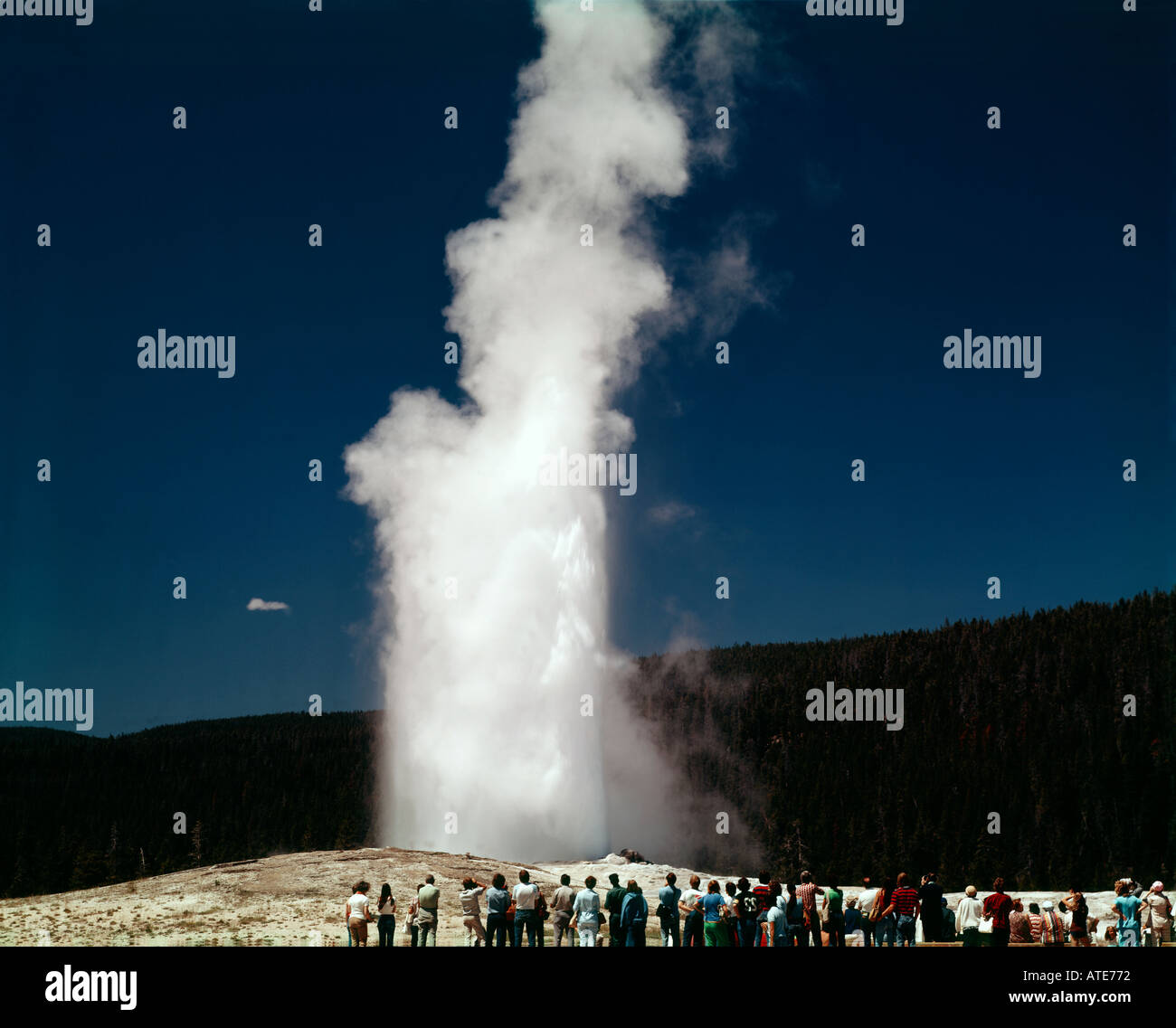 Yellowstone National Park in Wyoming where Old Faithful geyser bursts ...
