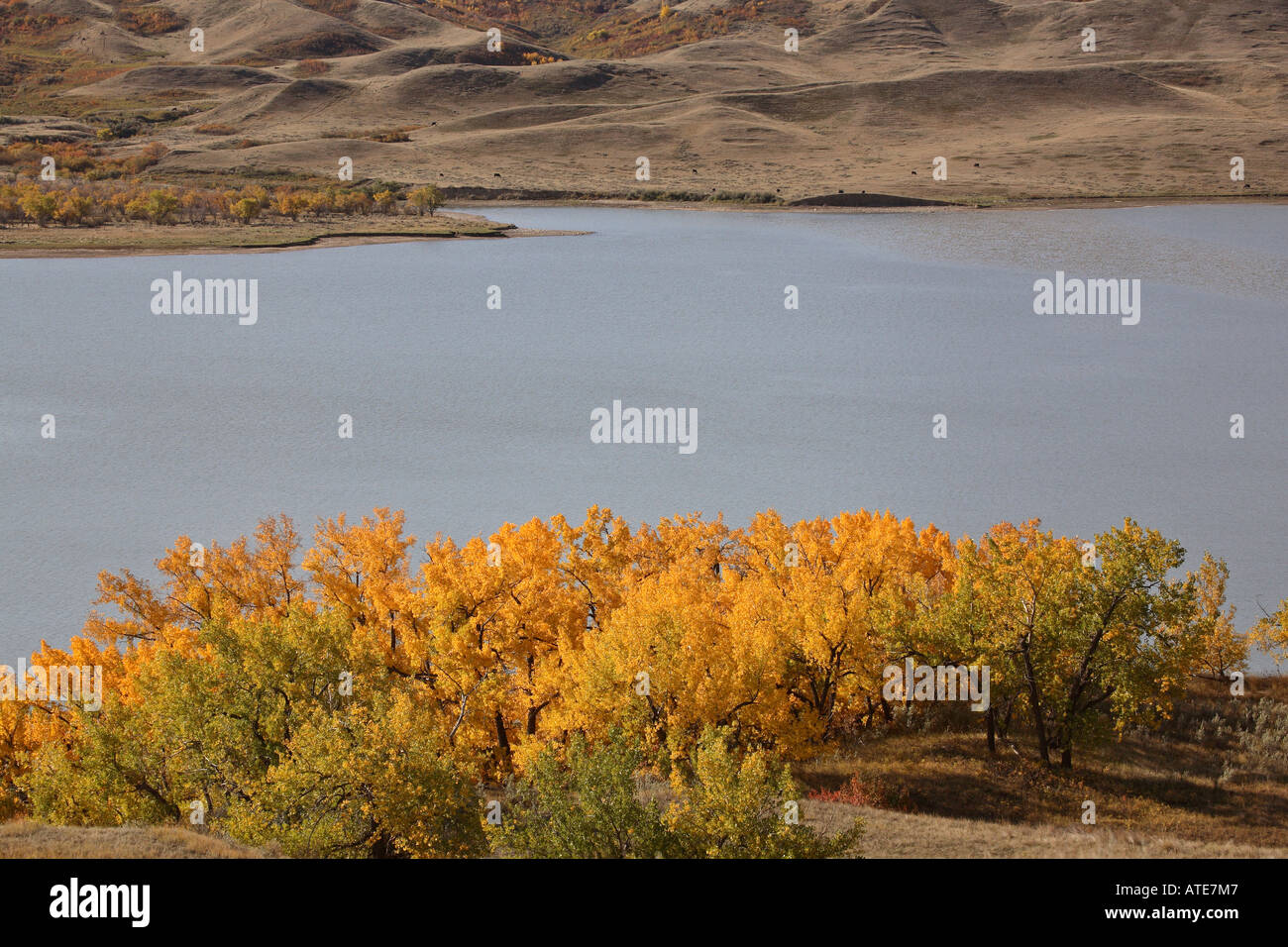 North saskatchewan landing hi-res stock photography and images - Alamy