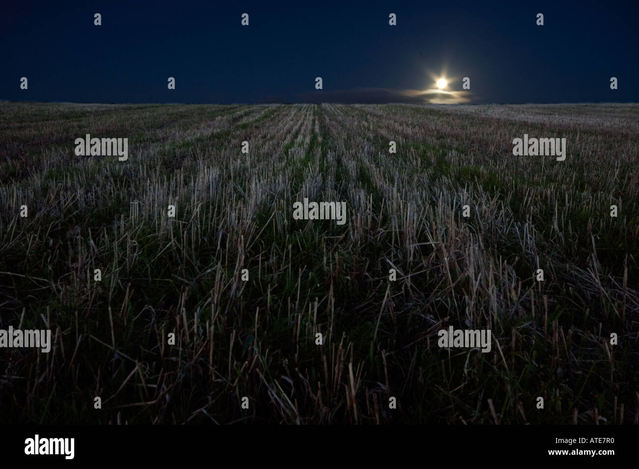 Moon moonlight moonlit hi-res stock photography and images - Alamy