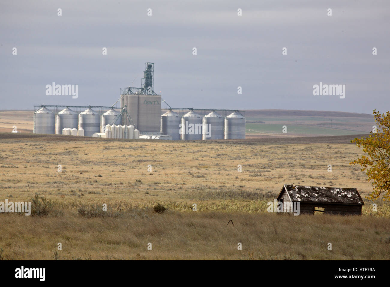 Grain elevator gull lake saskatchewan hi-res stock photography and ...