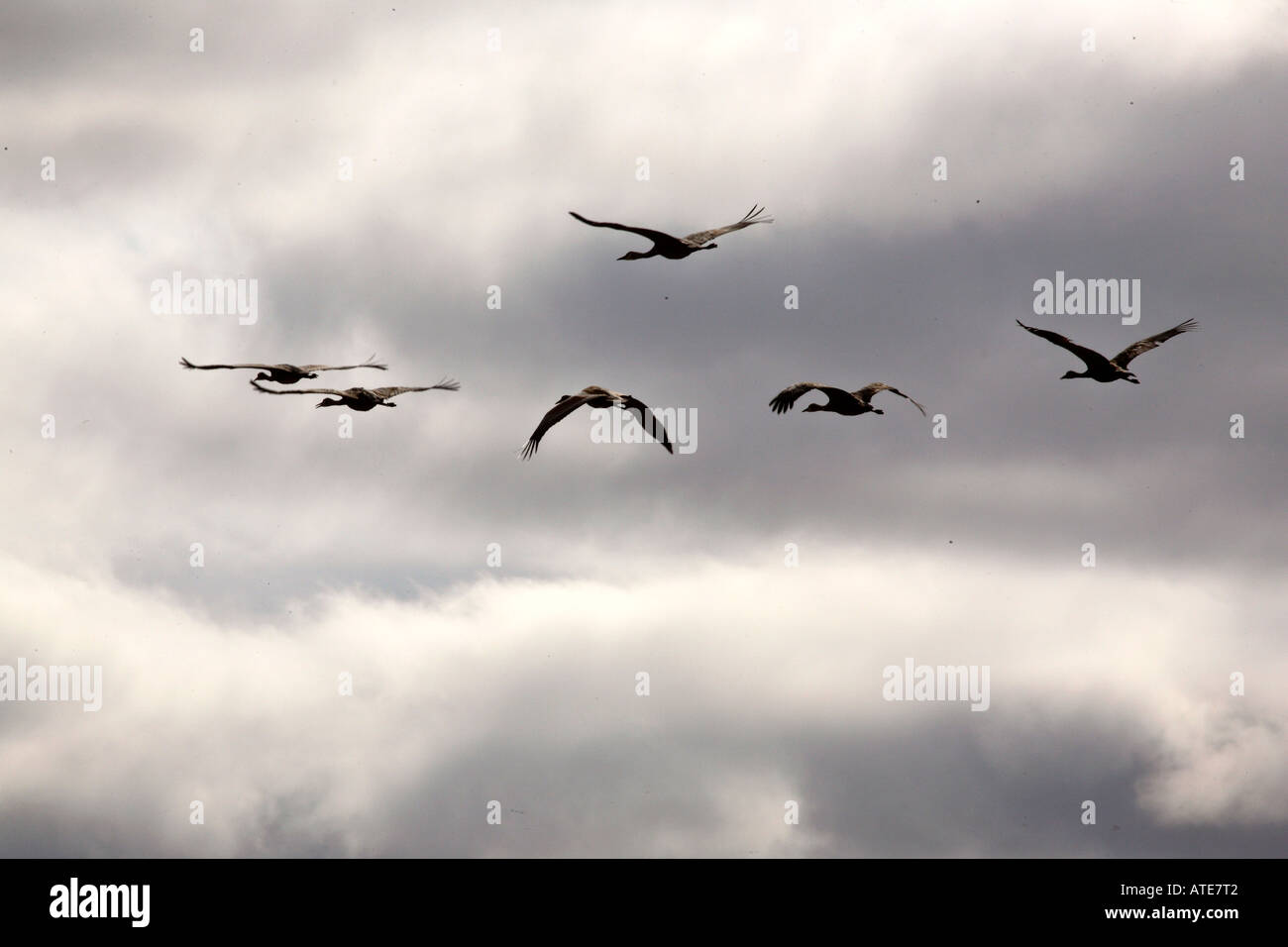 Webb saskatchewan hi-res stock photography and images - Alamy