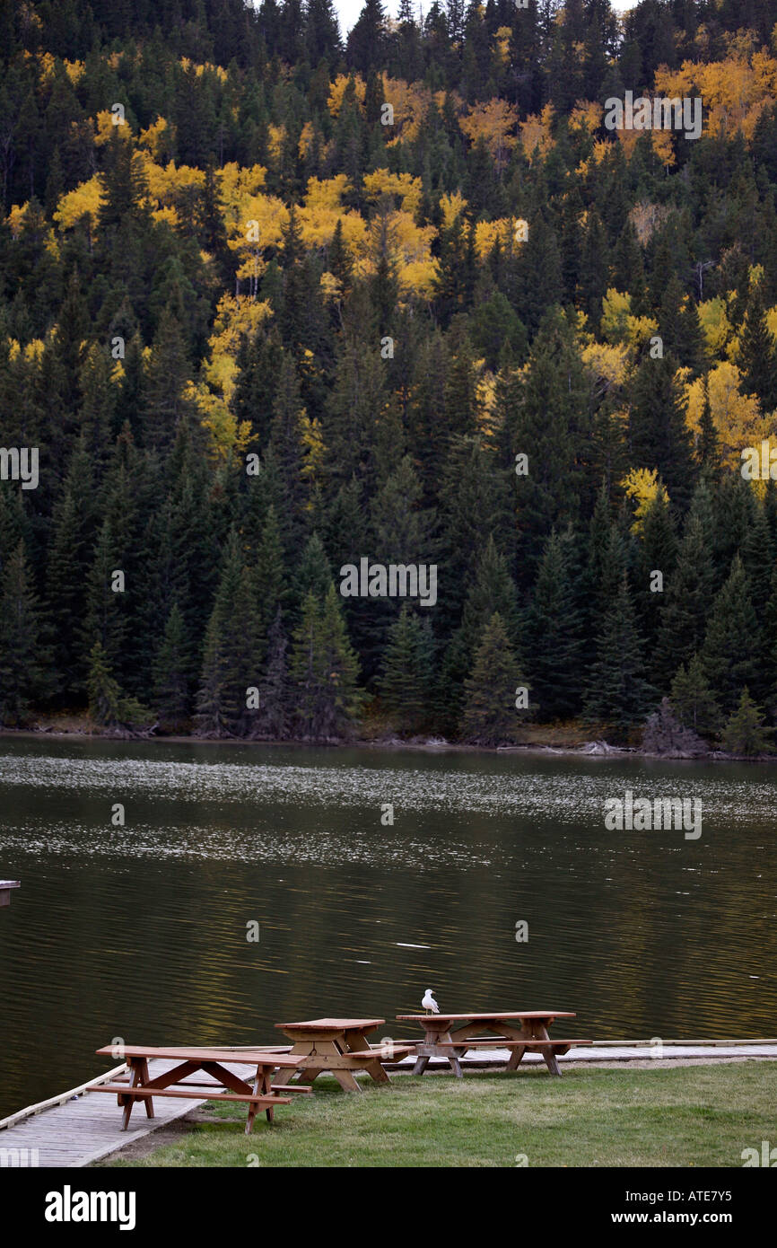 Reesor lake hi-res stock photography and images - Alamy
