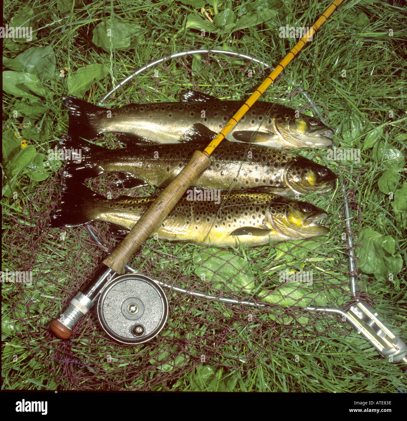 Native american fishing net hi-res stock photography and images - Alamy