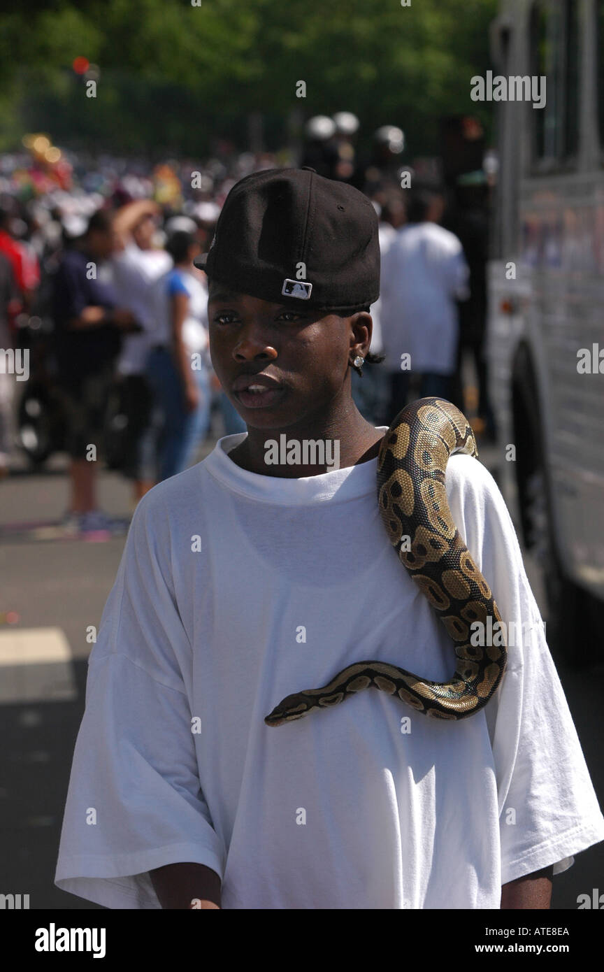 African snake dance hi-res stock photography and images - Alamy