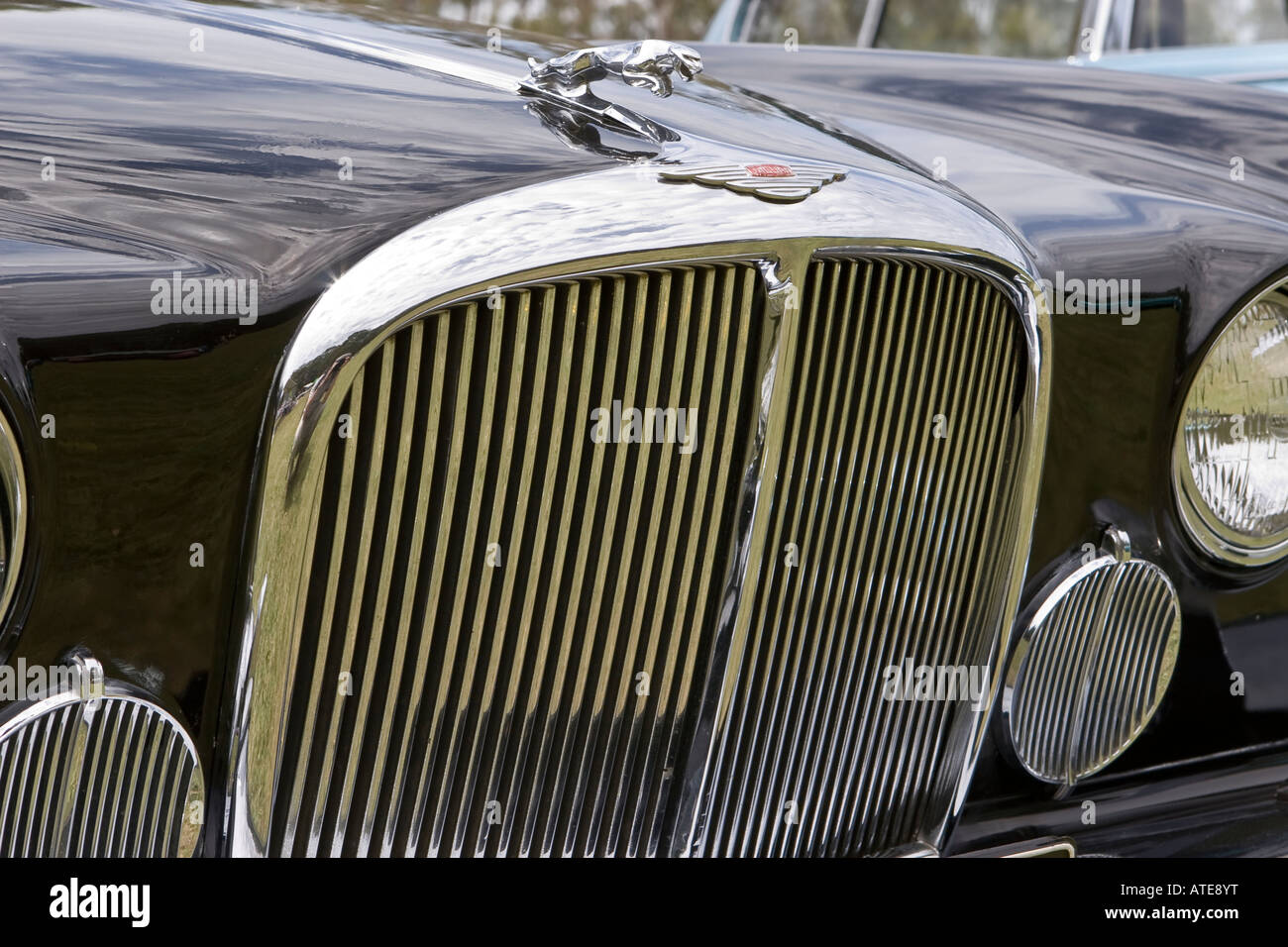 Chrome grill jaguar autos hi-res stock photography and images - Alamy