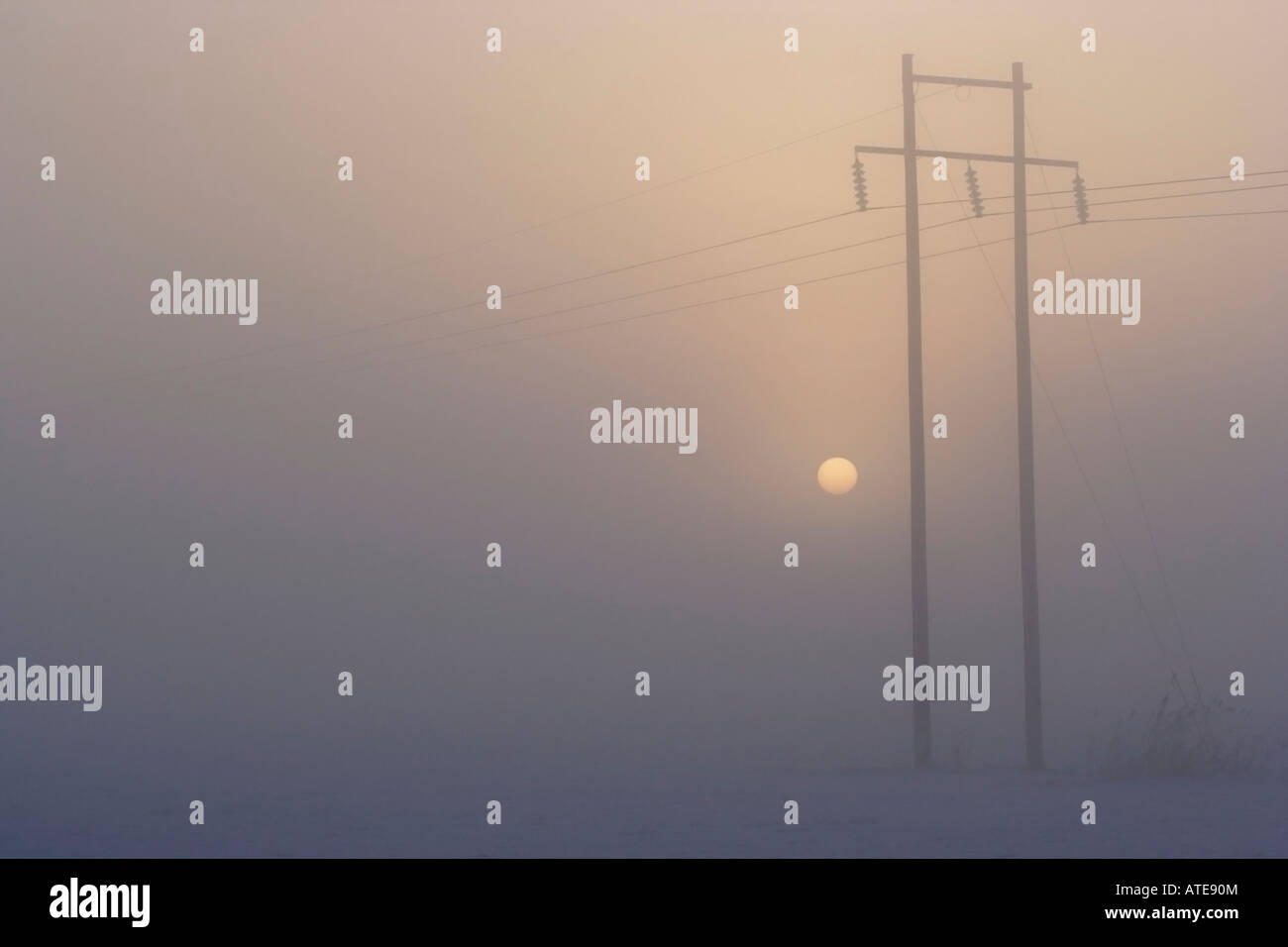 Poor visibility in the fog Stock Photo - Alamy