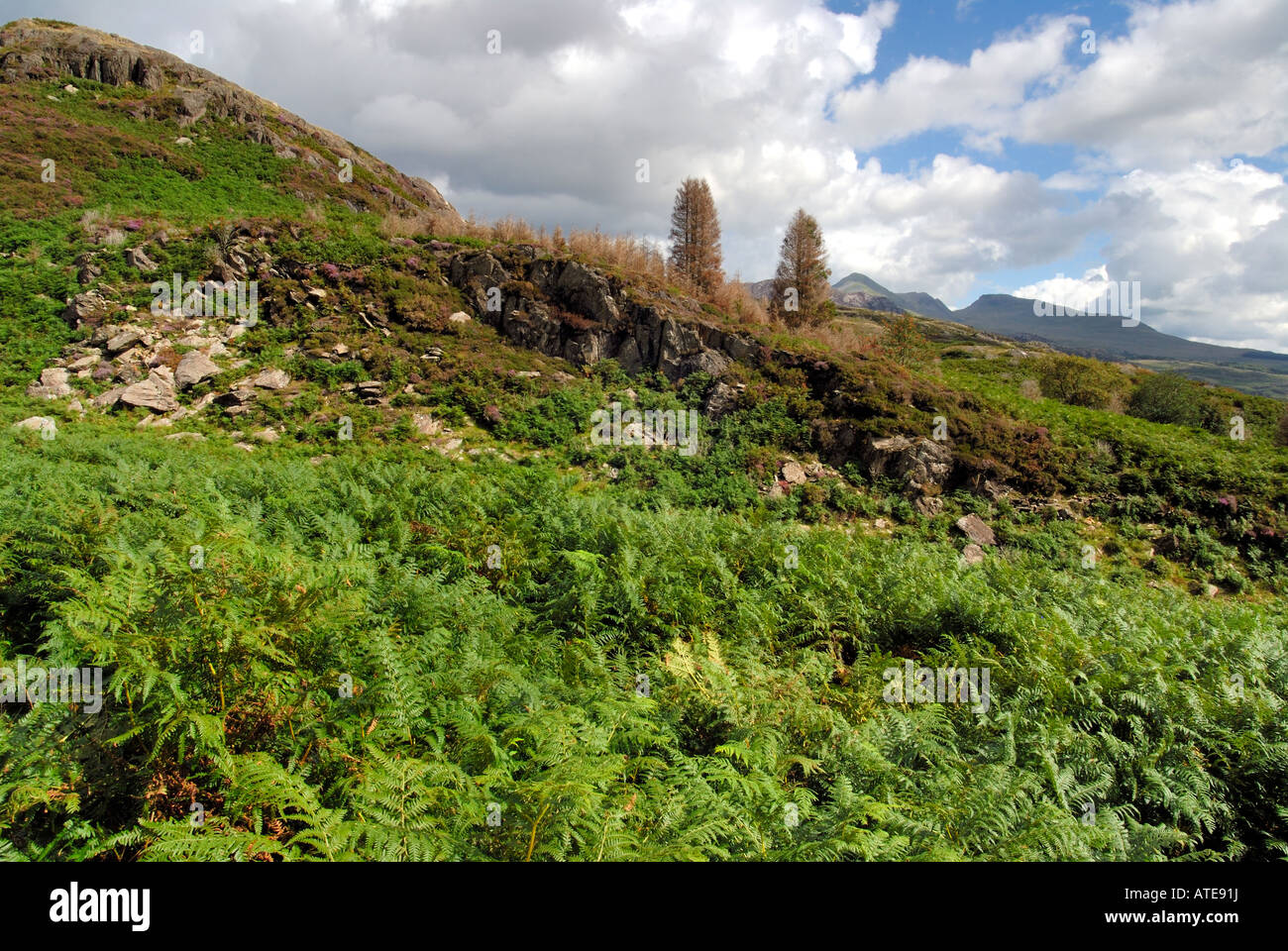 Cwm Bychan. Snowdonia National Park Stock Photo - Alamy