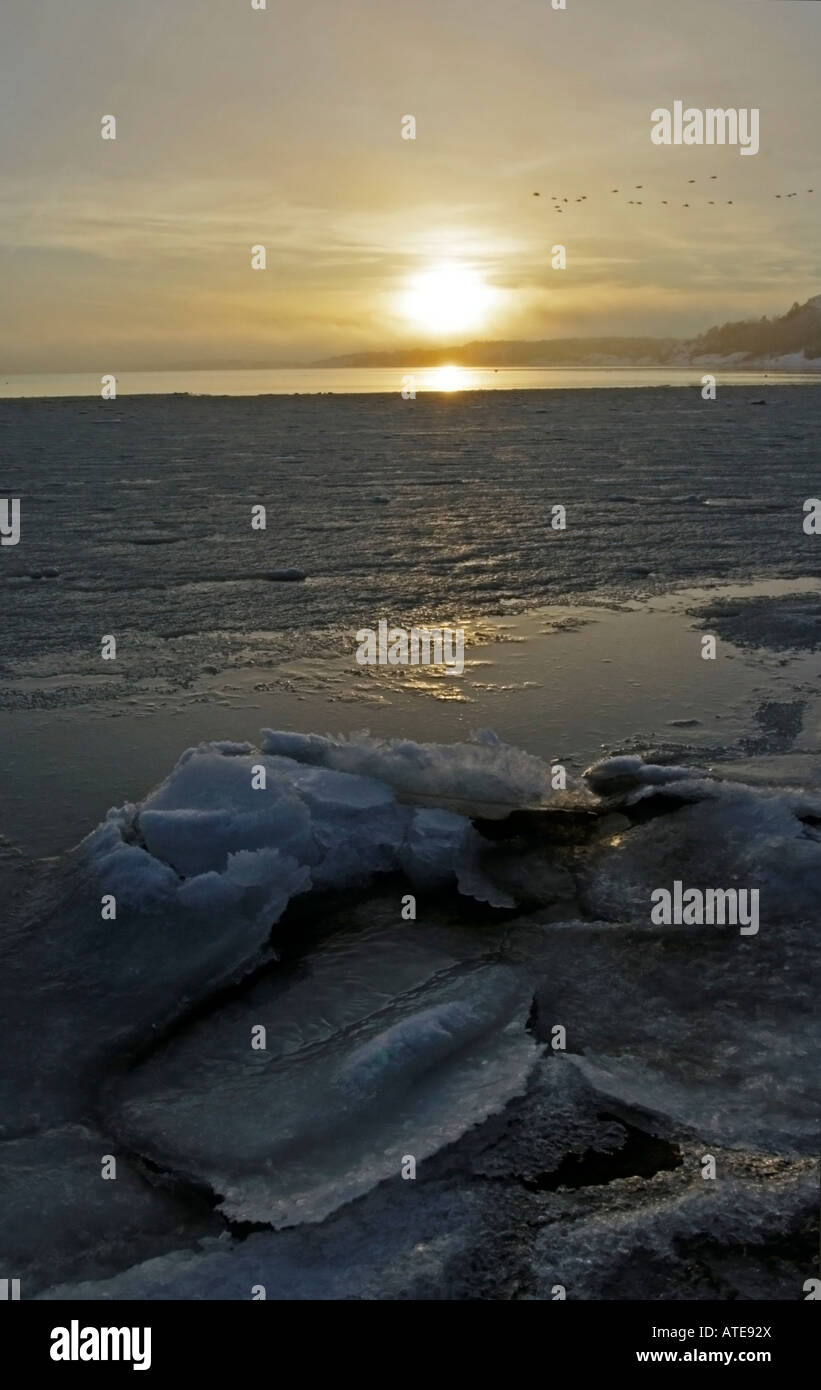 Glittering ice in the bay Stock Photo - Alamy