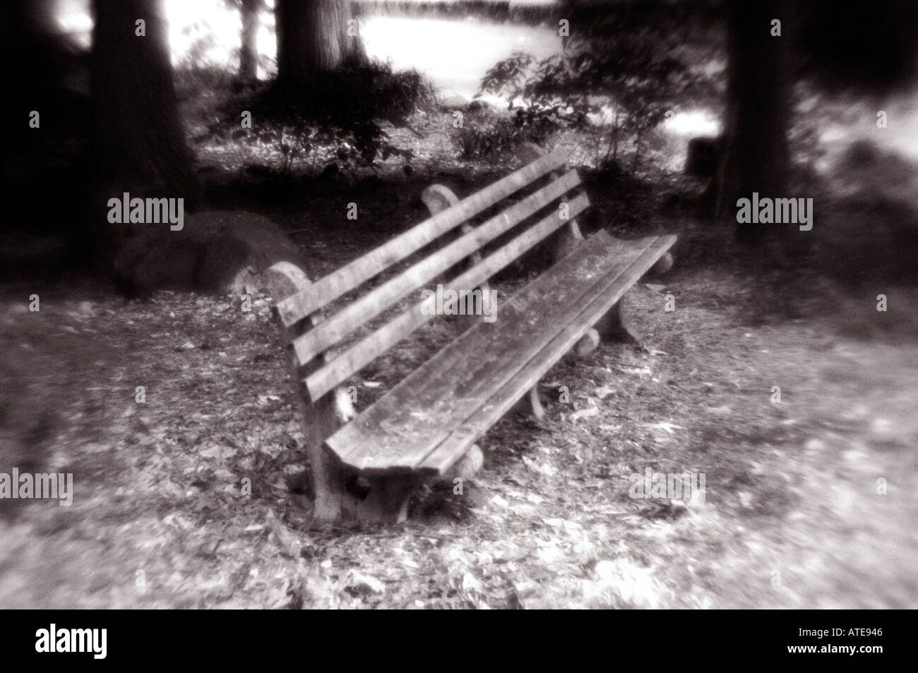 park bench alone in wooded area Stock Photo - Alamy