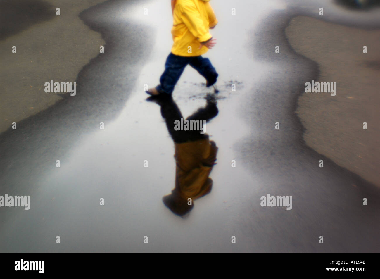 Puddle water hi-res stock photography and images - Alamy