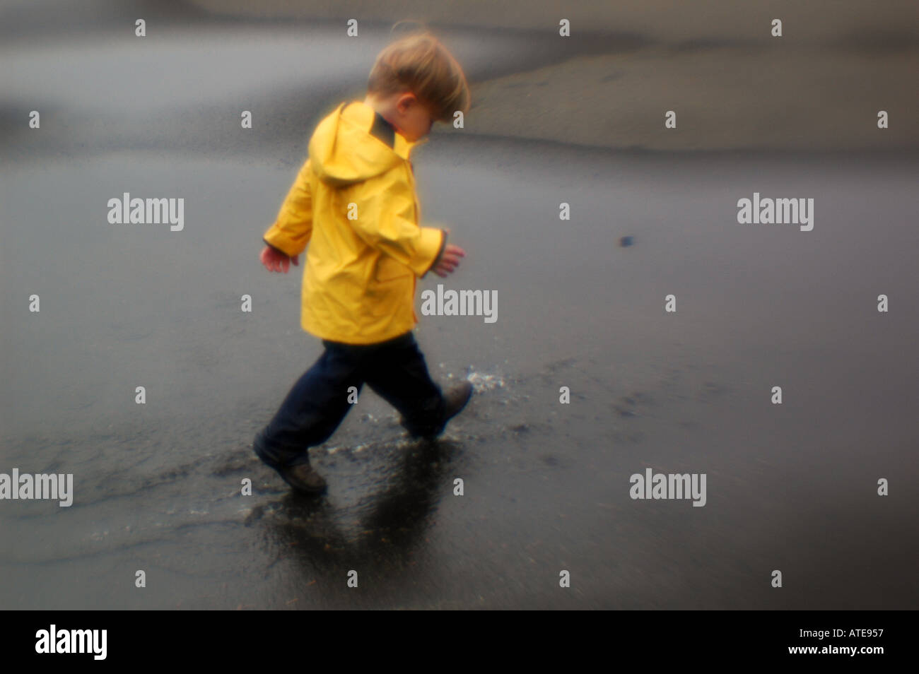 Small boy playing in puddle of water Stock Photo - Alamy