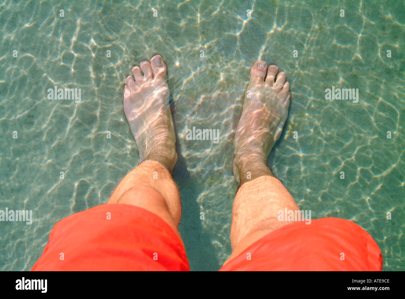a bather s feet in shallow sea water and sand Stock Photo - Alamy
